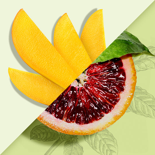 Adaptogen Infused Blood Orange & Mango Yerba Mate (12 Cans) – Sir Inkwell's