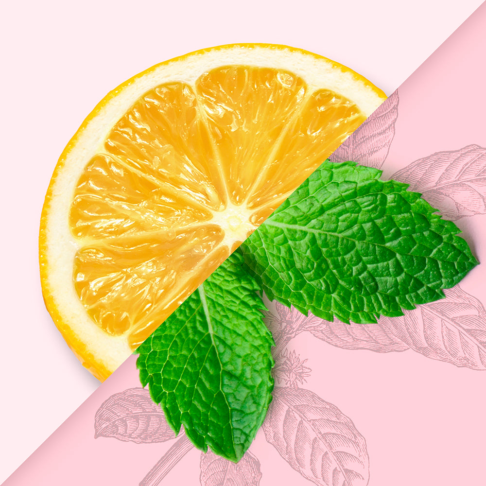 Adaptogen Infused Meyer Lemon & Mint Yerba Mate (12 Cans) – Sir Inkwell's